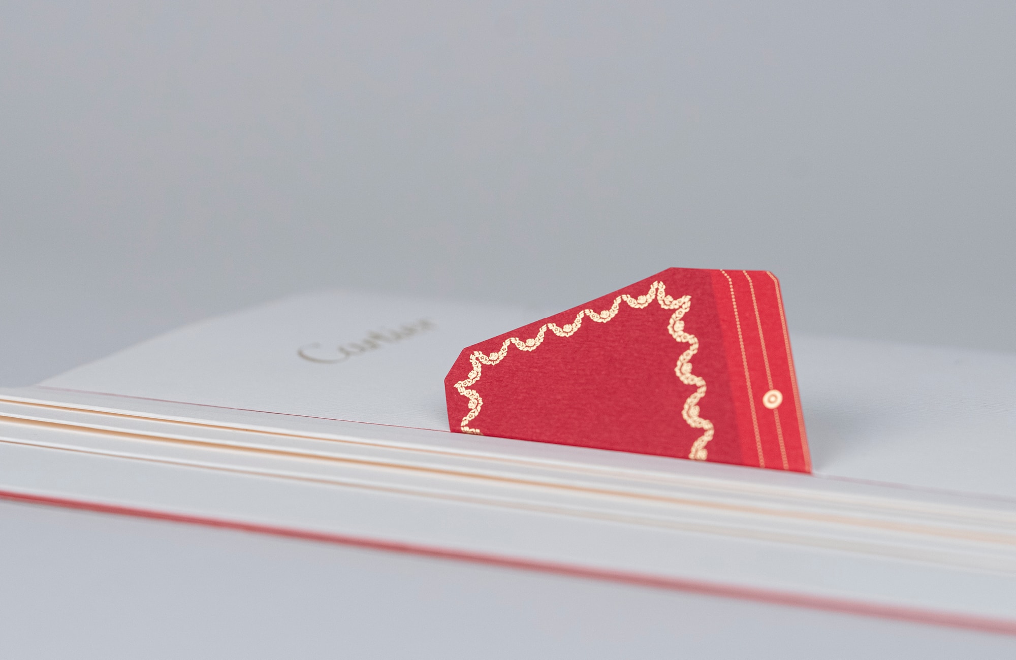 Pitchichi | Recommandation d’agences et aventures créatives